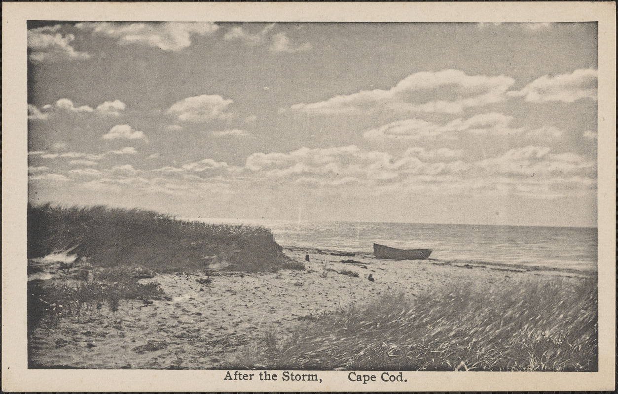 After the storm, Cape Cod - Digital Commonwealth
