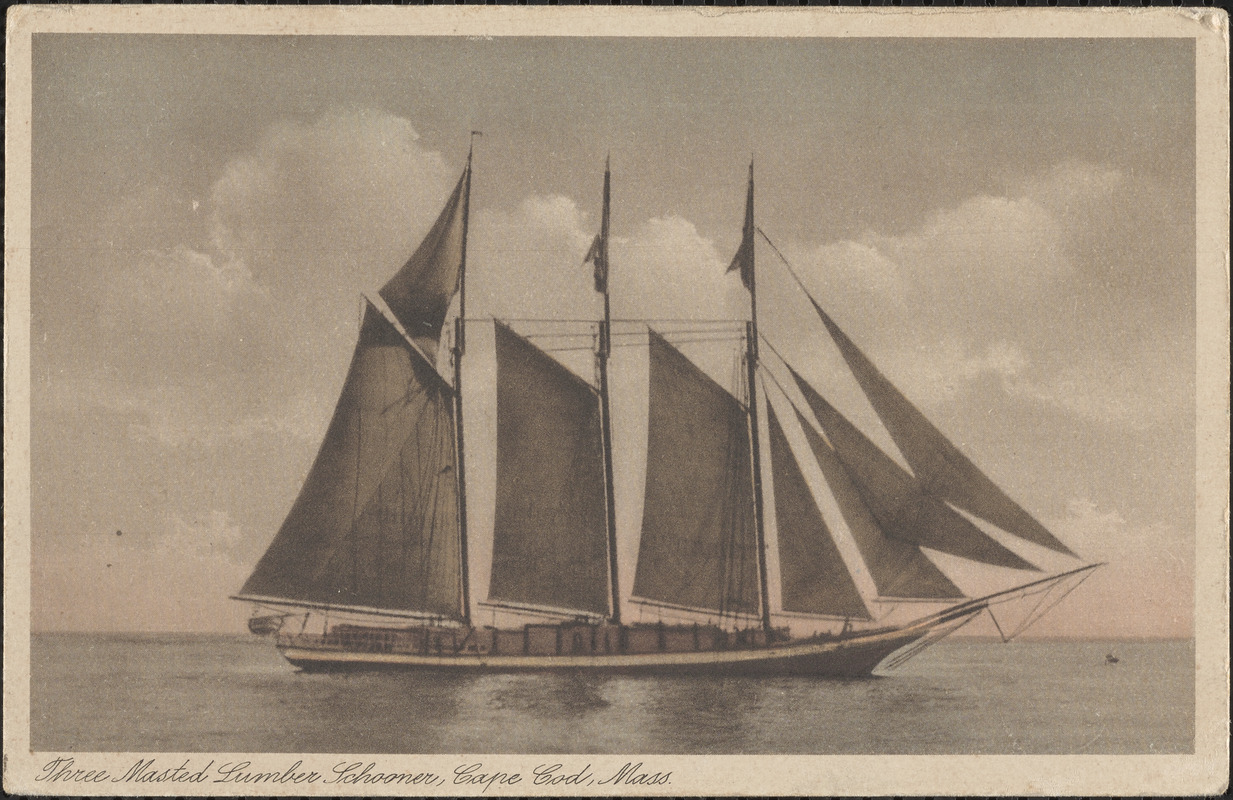 Three masted lumber schooner, Cape Cod, Mass. - Digital Commonwealth