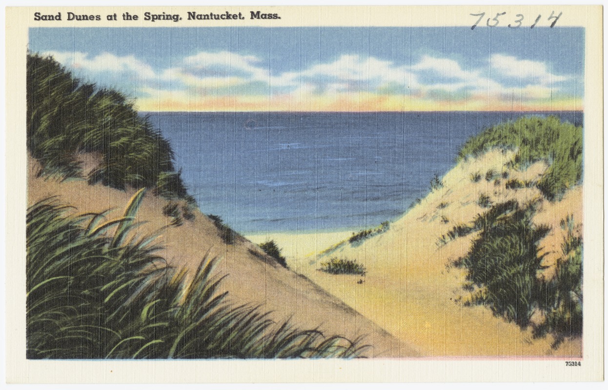 Sand dunes at the spring, Nantucket, Mass. - Digital Commonwealth