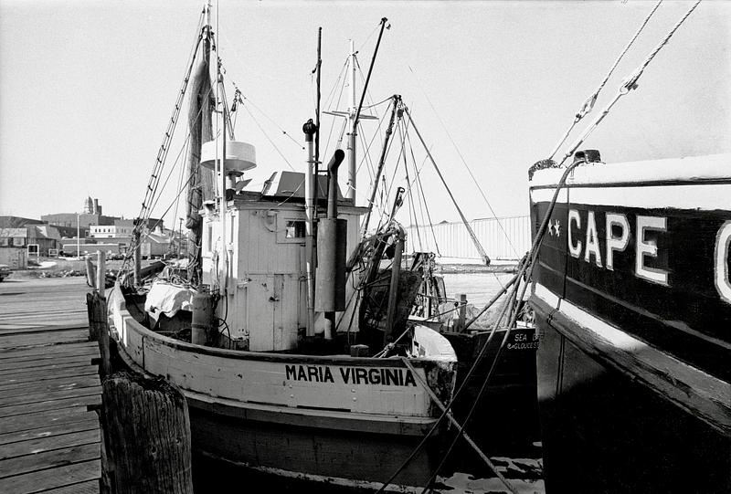 Maria Virginia - Digital Commonwealth