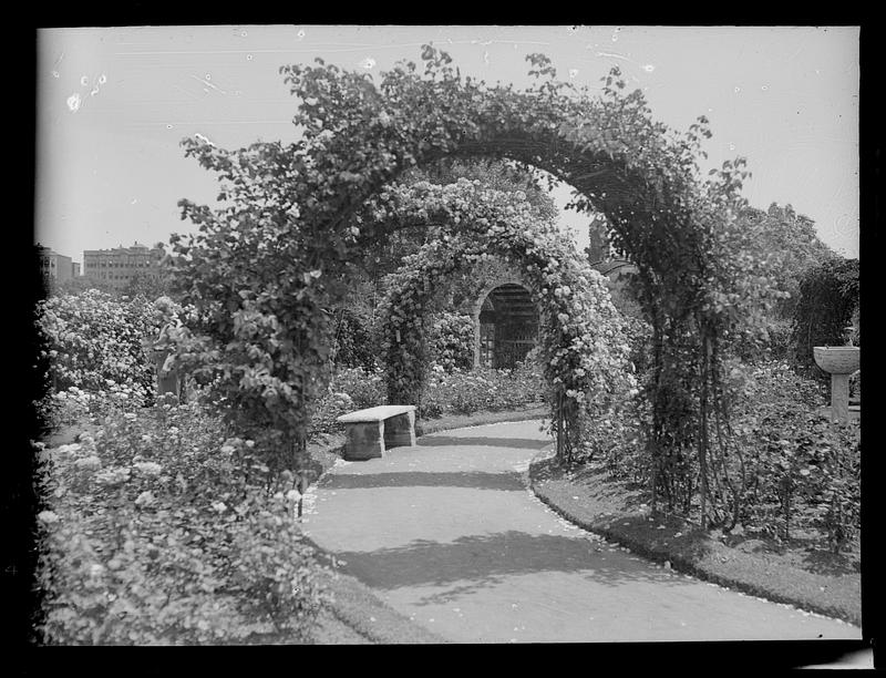 Pathway of arched trellises - Digital Commonwealth