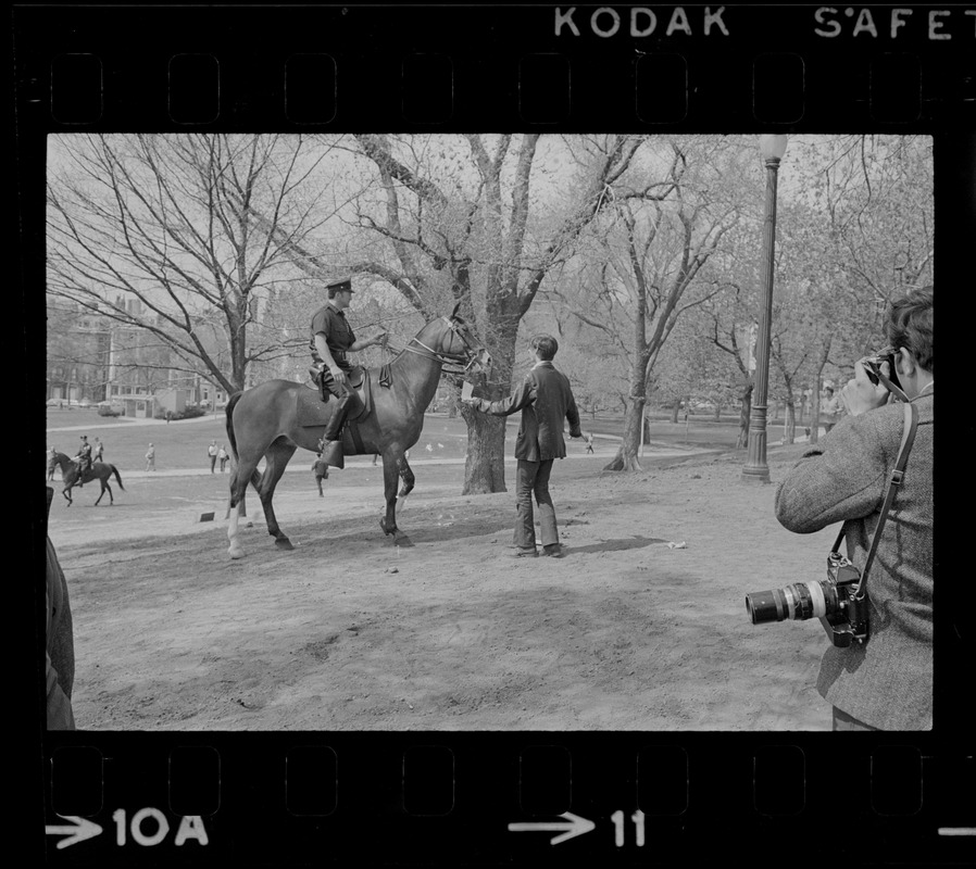 Confrontation between mounted policeman and hippie on the Boston Common ...
