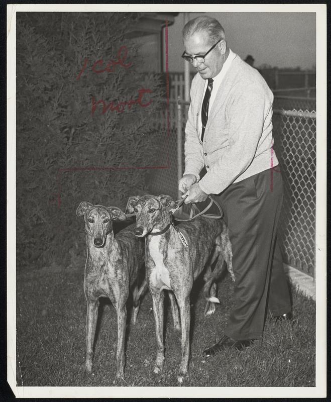 Florida-Bred greyhounds are welcomed to New England Bill L’Italien ...