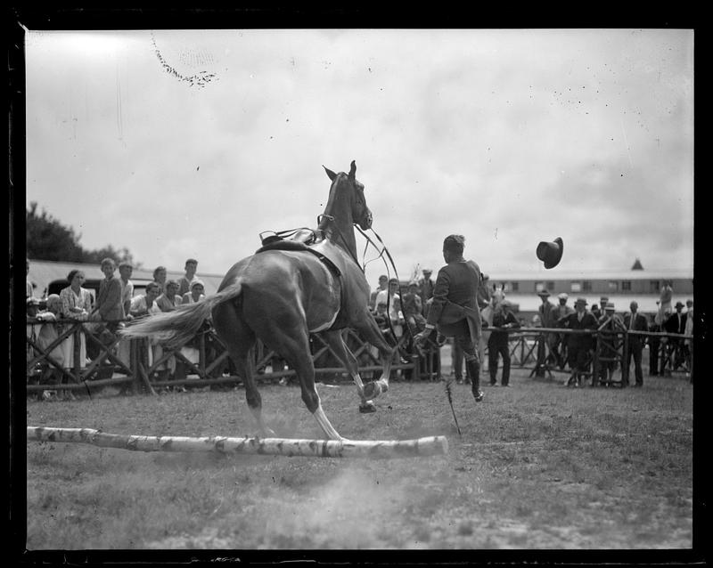 A man being thrown off a horse - Digital Commonwealth