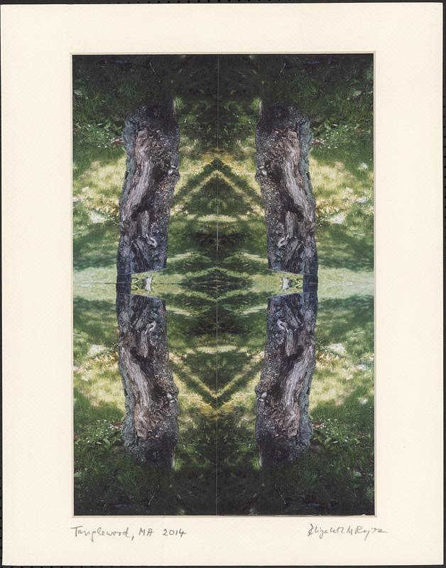 Tree composition #4 - Digital Commonwealth