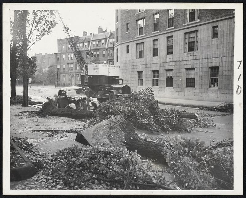 Bay State Road Scene - On Bay State Road trees were brought down during ...