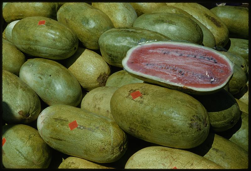 Pile of whole and cut watermelons - Digital Commonwealth