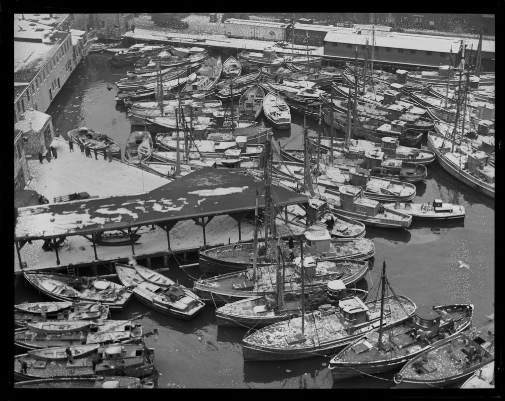 Italian fishing fleet - T-wharf - Digital Commonwealth
