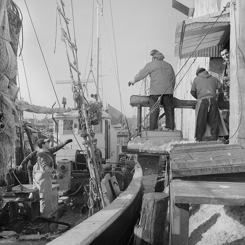 Homers Wharf, Unloading Fishing Vessel, New Bedford - Digital Commonwealth