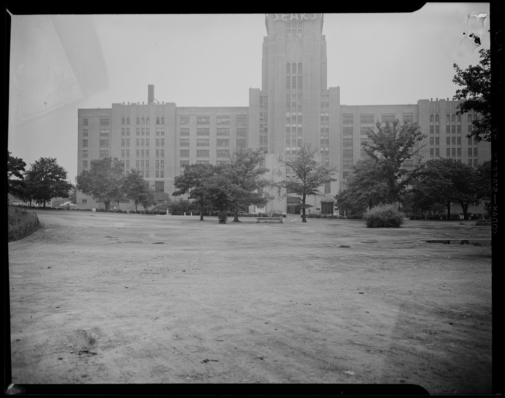 View of Sears building with tree foliage - Digital Commonwealth