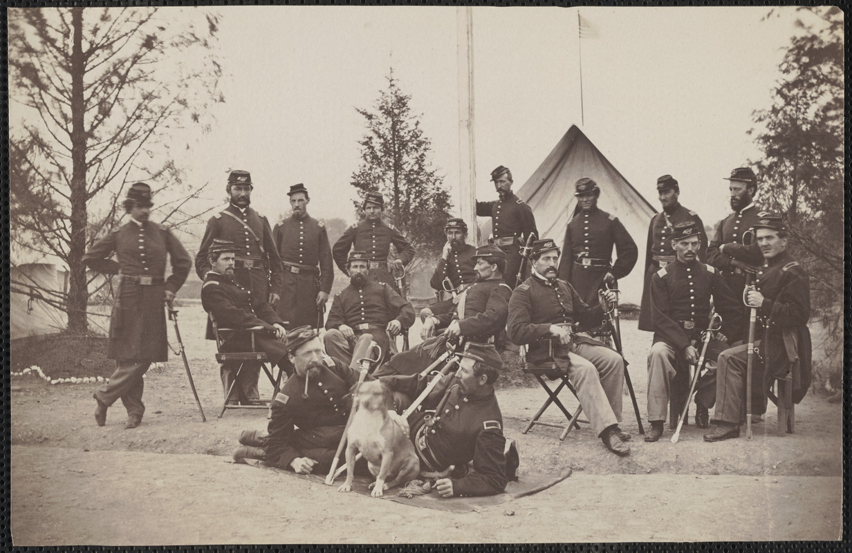 Officers of 153rd New York Infantry - Digital Commonwealth