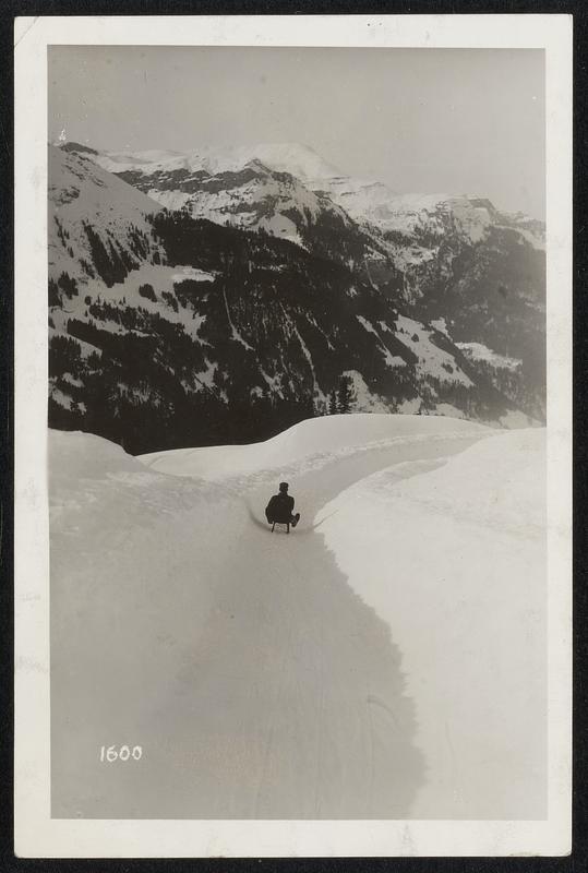 Tobogganing is a thrilling sport on the 3.11 miles long toboggan run at ...