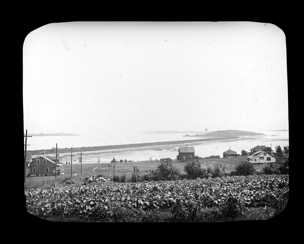 Moon Island from Bellevue Road - Digital Commonwealth