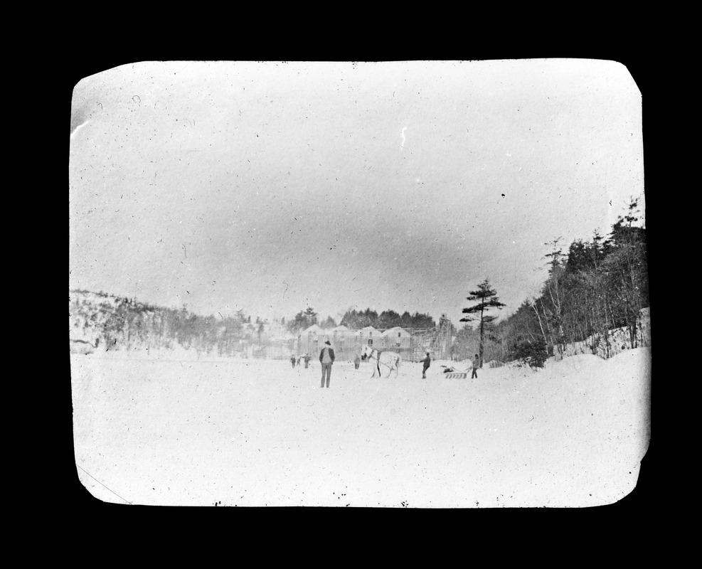 Crystal Spring Ice Pond - Digital Commonwealth