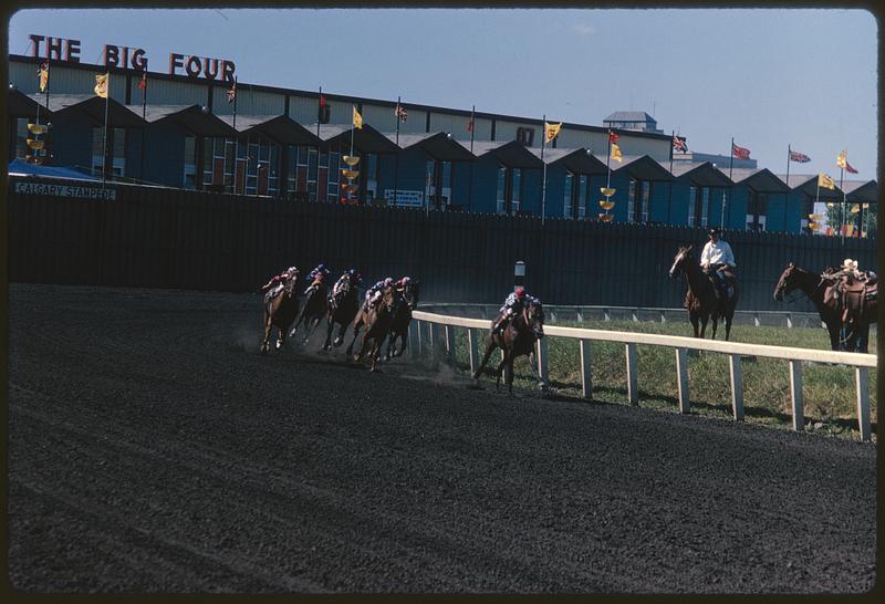 Horses coming around curve of race track, Calgary Stampede, Alberta ...