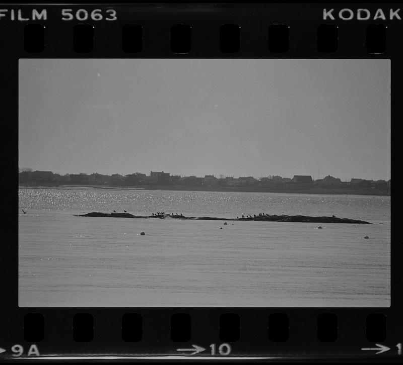 Half tide rocks - Digital Commonwealth