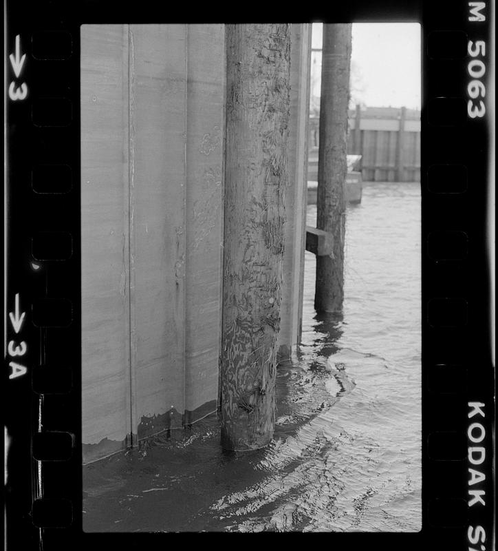 Waterfront pilings - Digital Commonwealth