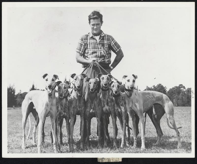Famous "S" litter of Neil Groves who is competing at Wonderland is held ...