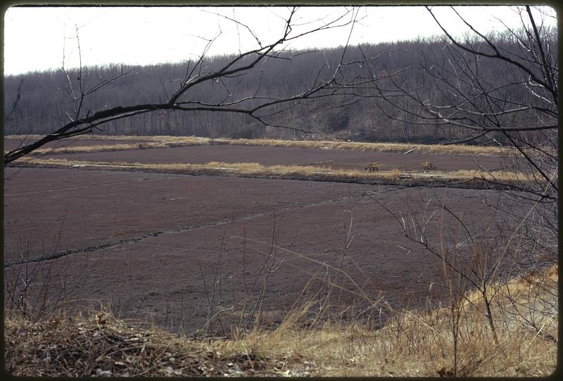 Marshes draining into Bush Pond converted to Cranberry Bogs - Digital ...
