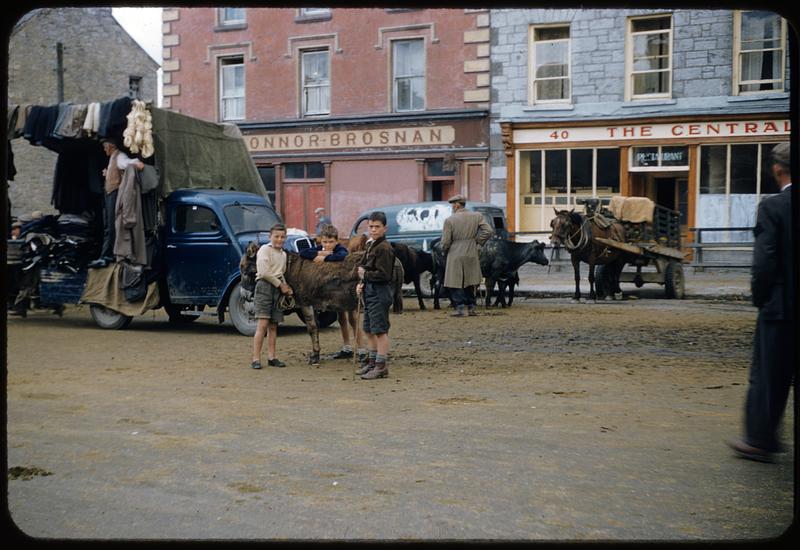 Irish boy with donkey - Digital Commonwealth