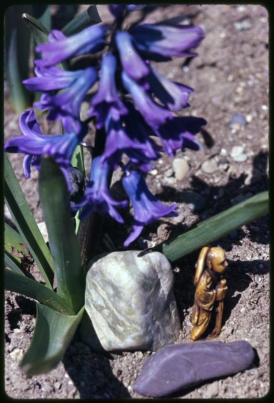 Netsuke + flowers - Digital Commonwealth