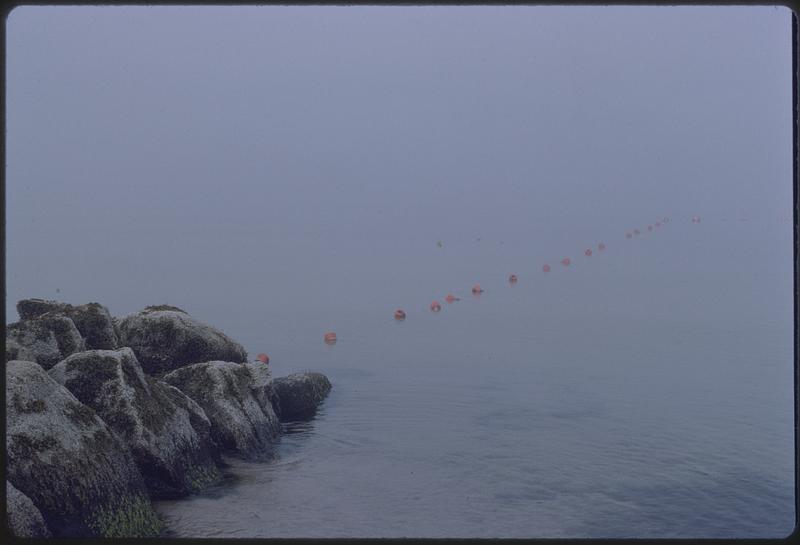 Line of buoys on water - Digital Commonwealth