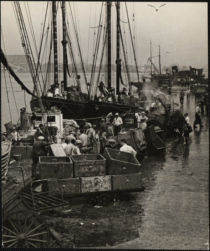 Boston, fish pier - Digital Commonwealth