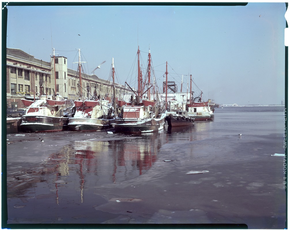 Boston fish pier - Digital Commonwealth