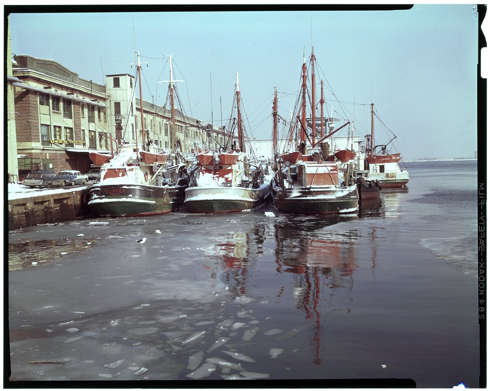 Boston fish pier - Digital Commonwealth