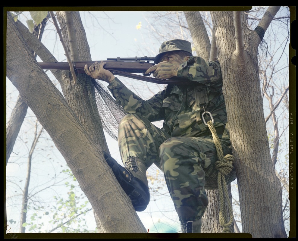 Combat arms branch, soldier sniping on tree sitting on netting ...