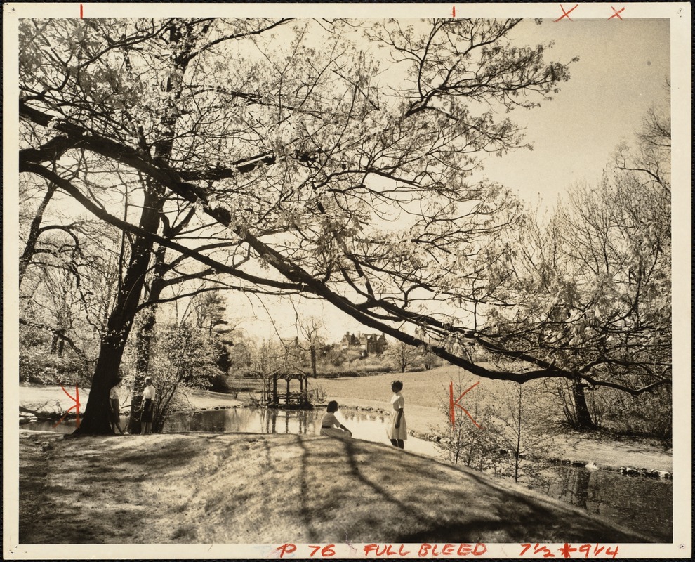 Campus - Dane Estate - Digital Commonwealth