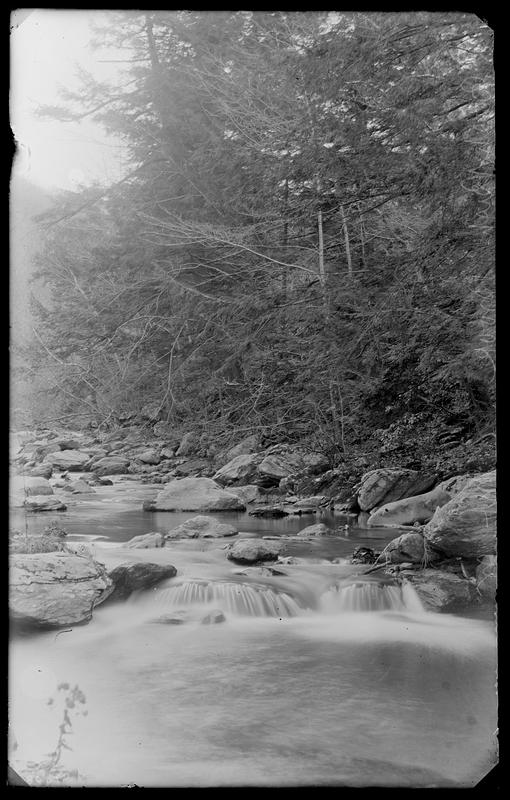 Stream, wooded - Digital Commonwealth