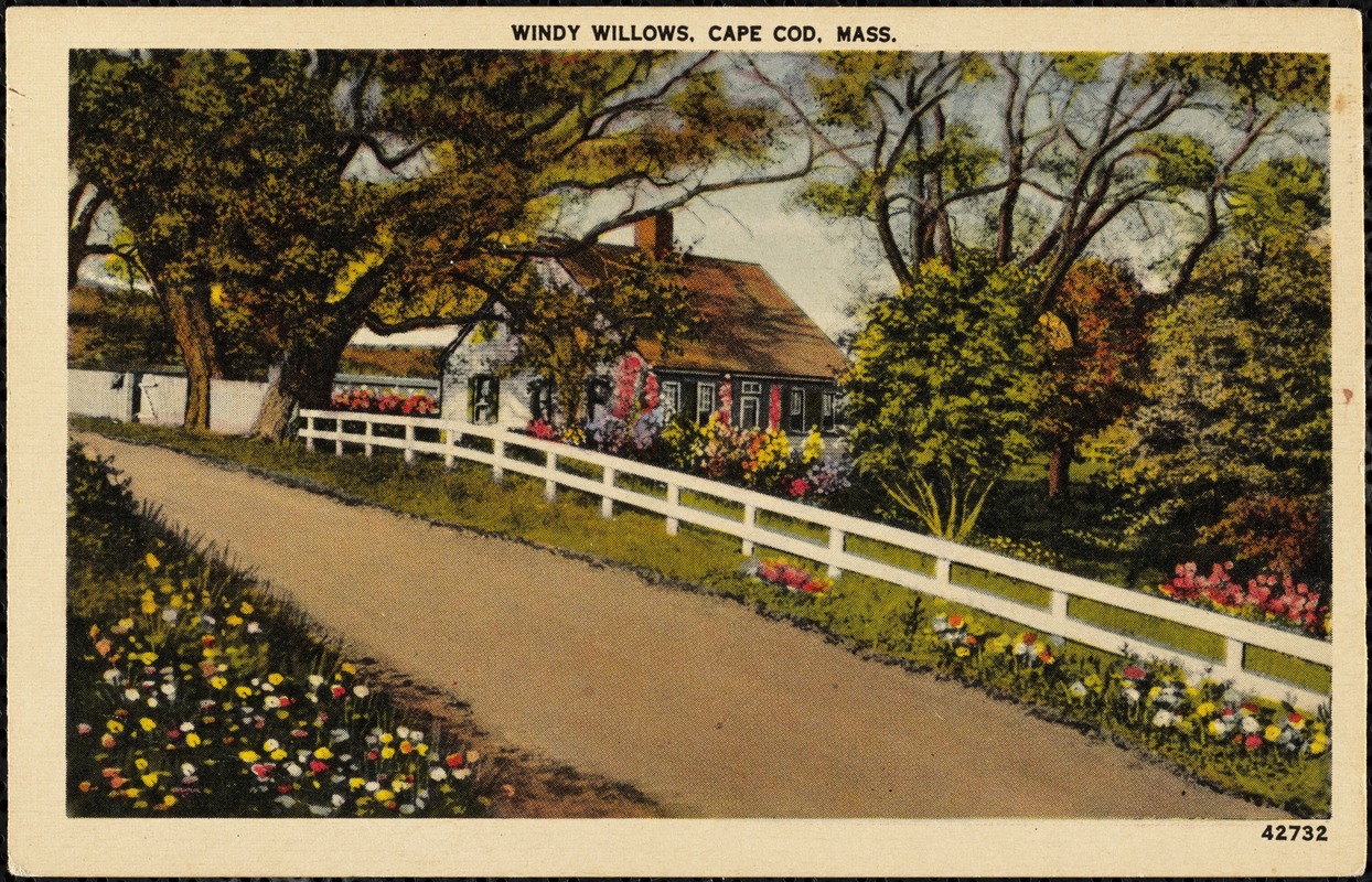 Windy Willows, Cape Cod, Mass. - Digital Commonwealth