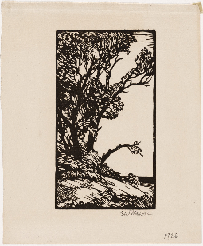 California trees - Digital Commonwealth