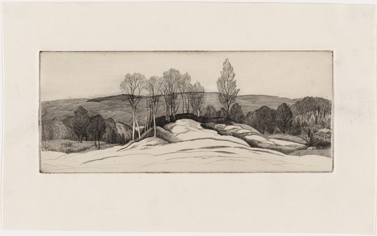 Rocky promontory with trees - Digital Commonwealth