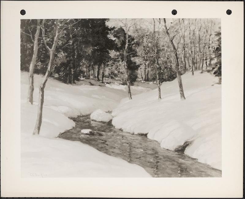 Spot Pond Brook - Digital Commonwealth