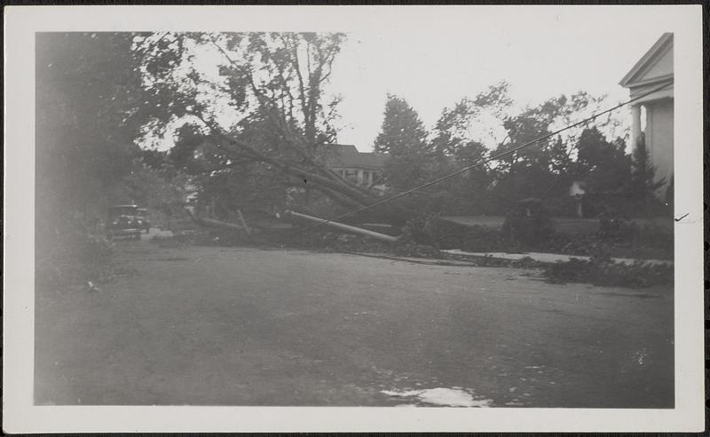 New England Hurricane, 1938 - Digital Commonwealth