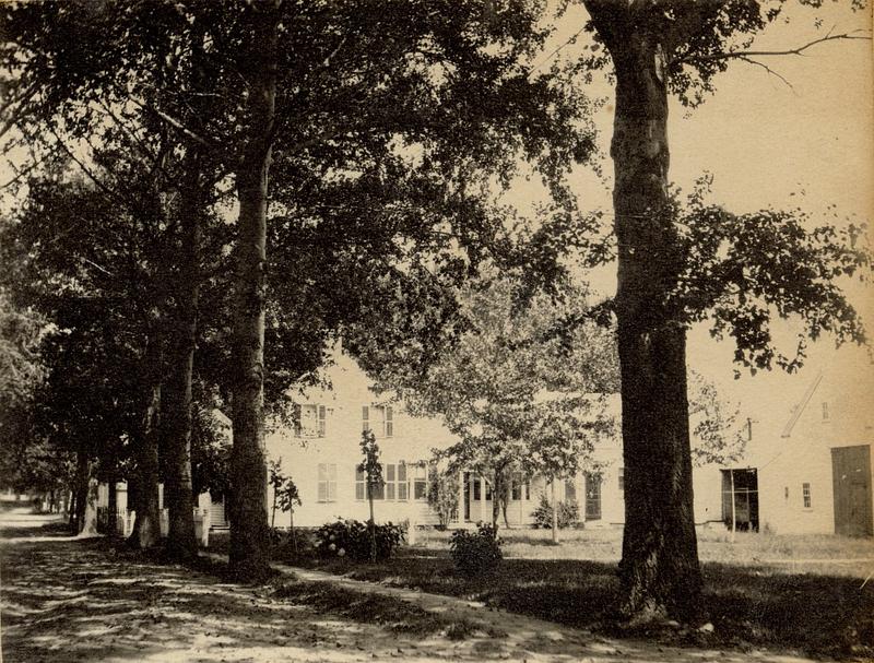 Row of shade trees (elms?), house, and barn, South Yarmouth, Mass ...