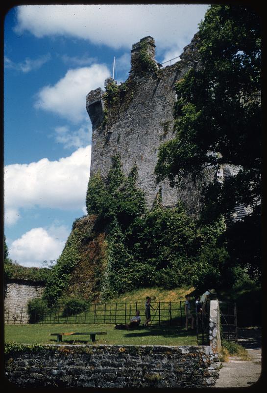 Ross Castle, Killarney, Ireland - Digital Commonwealth
