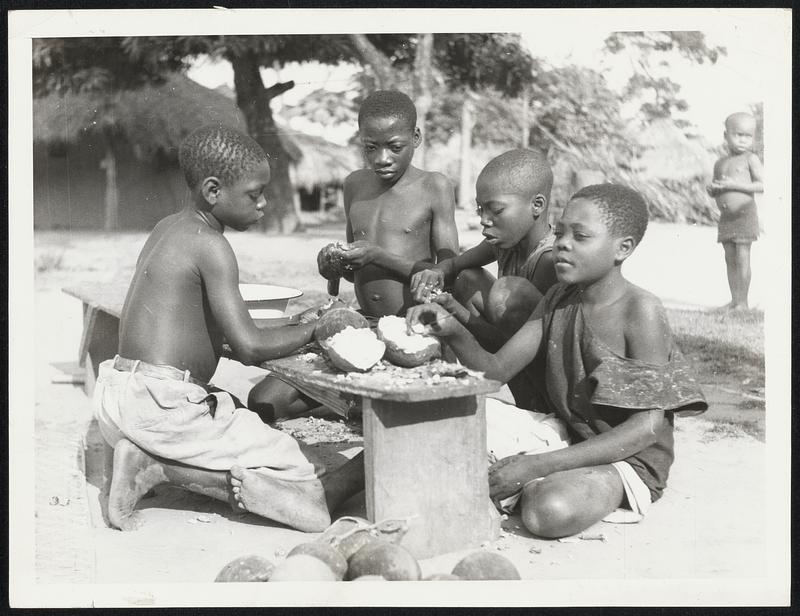 They Clean to Cure. Leper children at the Bibanga Leper Camp remove and ...