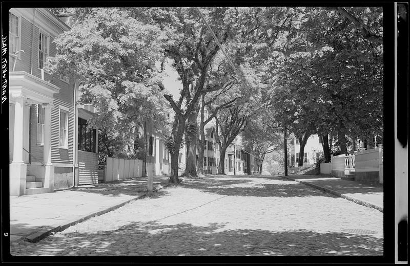 Tree-lined street, Nantucket - Digital Commonwealth