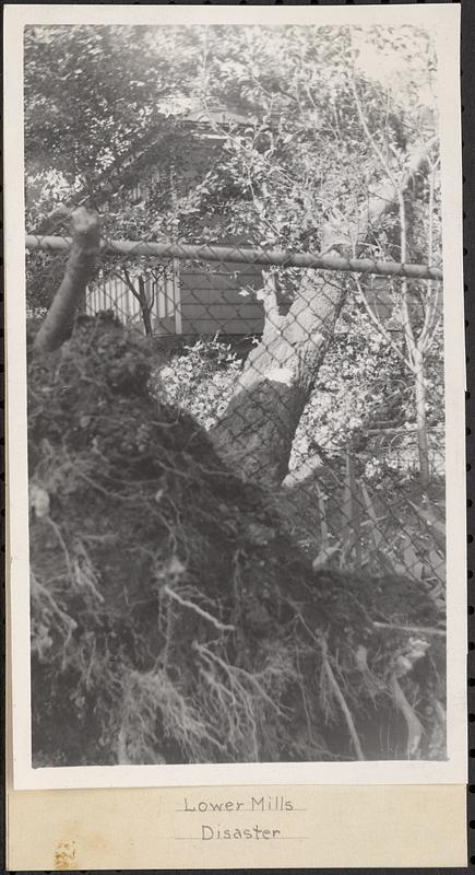 Lower Mills disaster - Digital Commonwealth