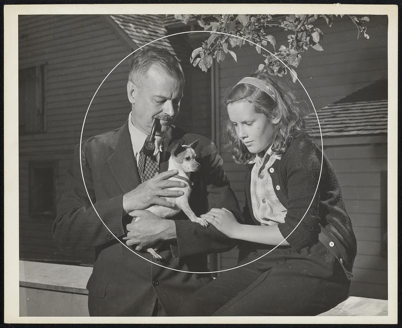 The Mexican Chihuahua, being shown to a young visitor by Dr. Clarence ...