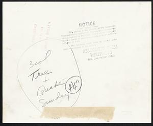 Tidal Wave Effect - Hugh tree trunk and two automobiles were swept ...