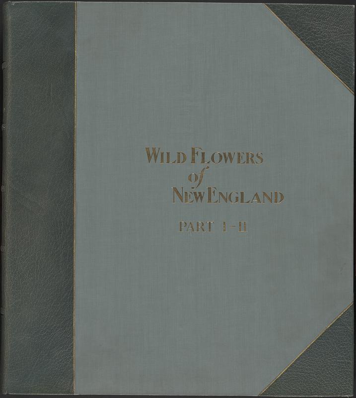 Wild flowers of New England. Part I, Flowers of early spring. Part II ...