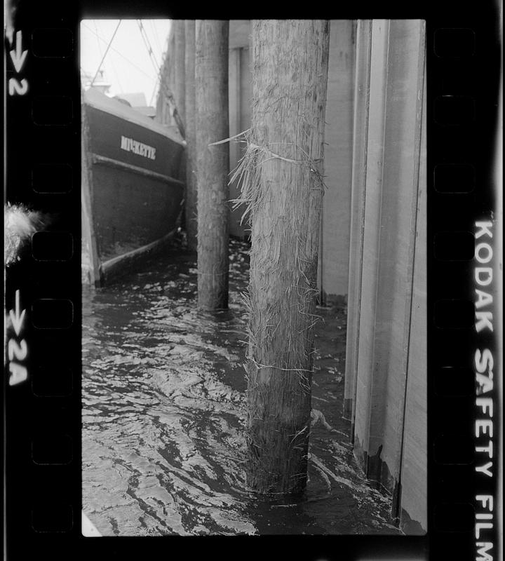 Waterfront pilings - Digital Commonwealth