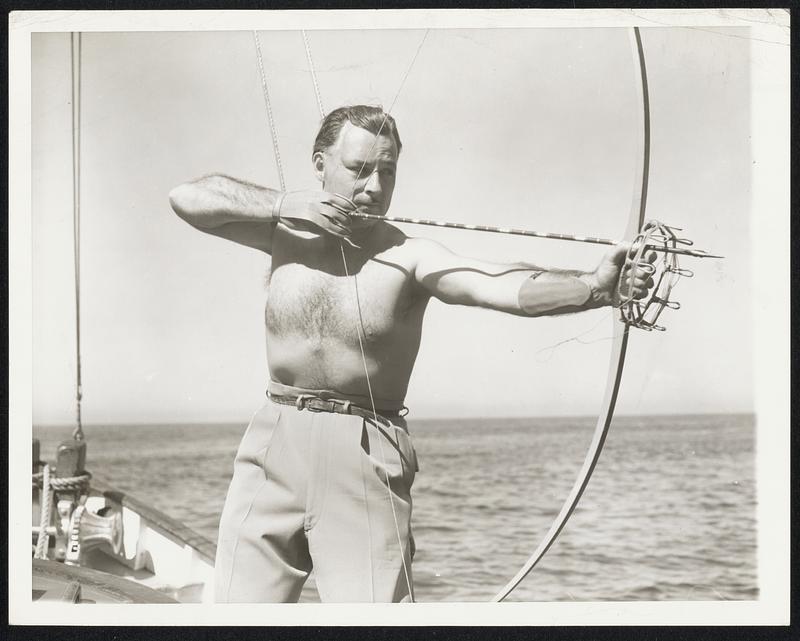 Roy Maples, expert bow-and-arrow fisherman, takes careful aim at one of ...