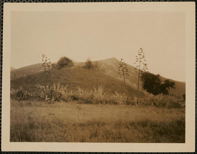 Marathon - the Soros - Digital Commonwealth