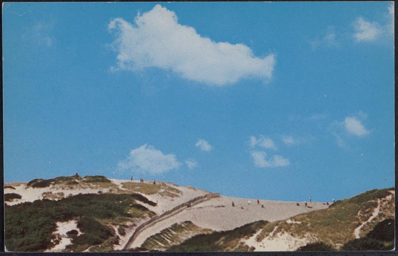 On top of the sandpit, North Truro, Cape Cod, Mass. - Digital Commonwealth