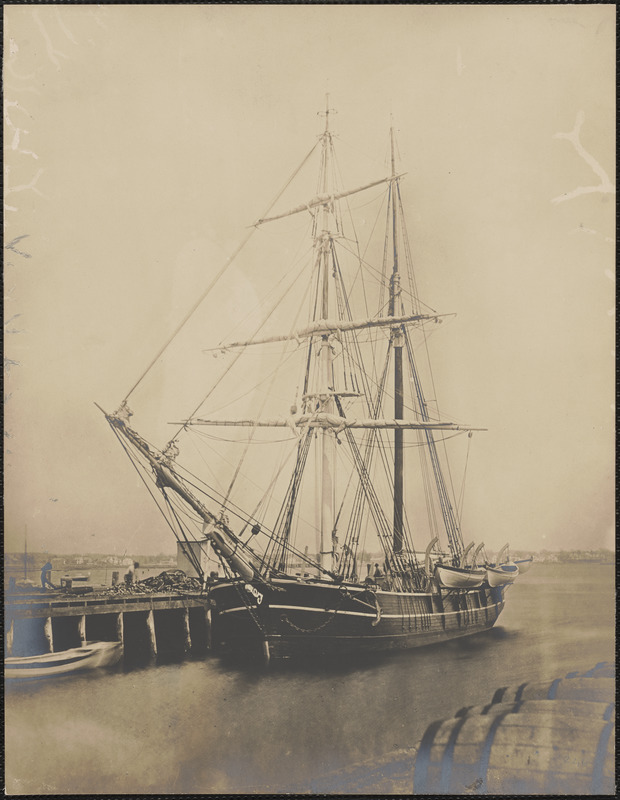 Whaling ship at wharf - Digital Commonwealth